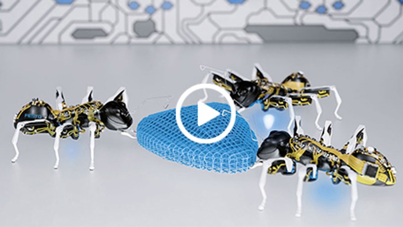 Festo Bionic Learning Network