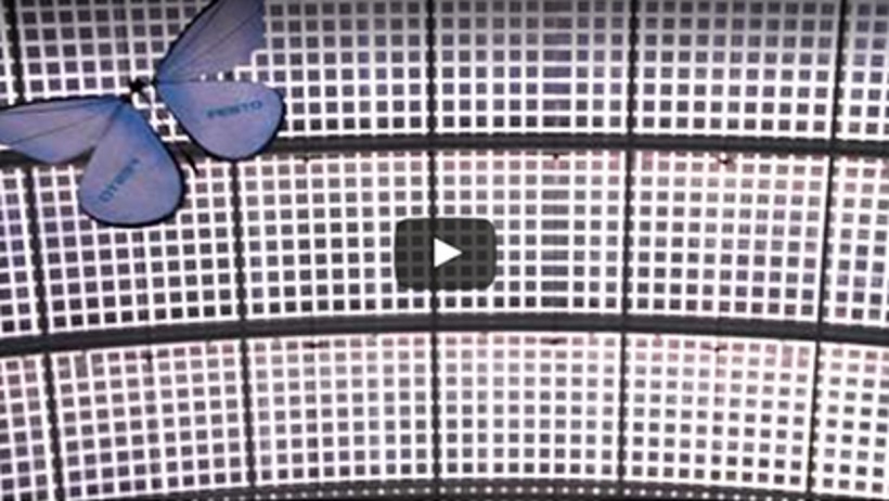 Bionik Projekte von Festo