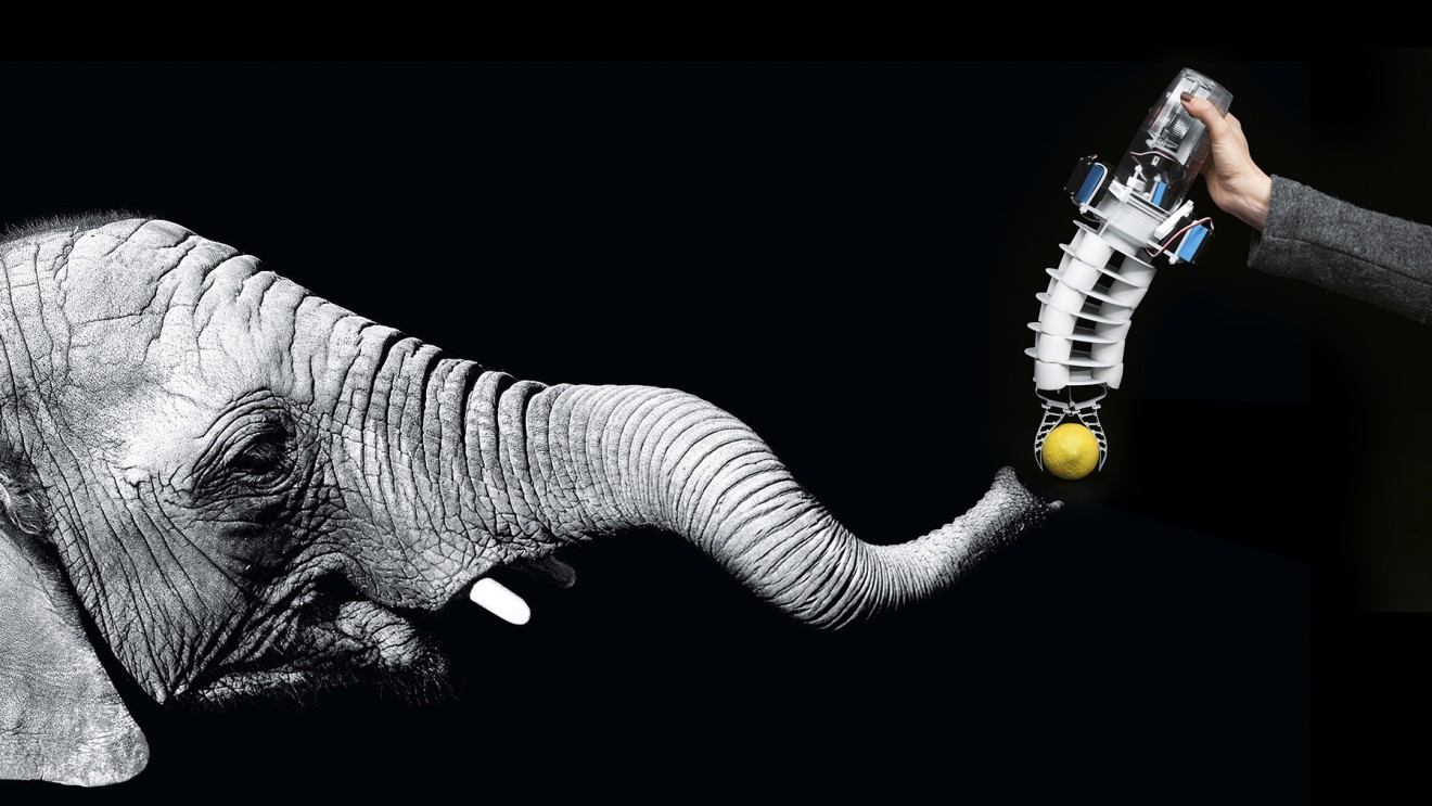 Festo ganzheitliches MINT-Bildungskonzept